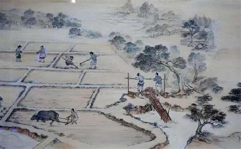 西周井田制、曹魏屯田制、北魏隋唐均田制：中国古代土地制度演变 知乎