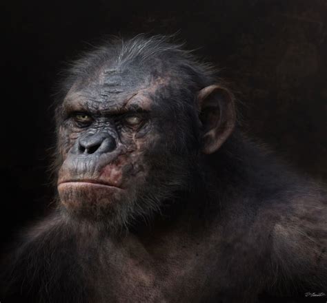 Dawn Of The Planet Of The Apes Designs
