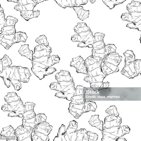 생강입니다 흰색 바탕에 원활한 벡터 패턴입니다 컨투어 드로잉 밑그림입니다 개체 그룹에 대한 스톡 벡터 아트 및 기타 이미지