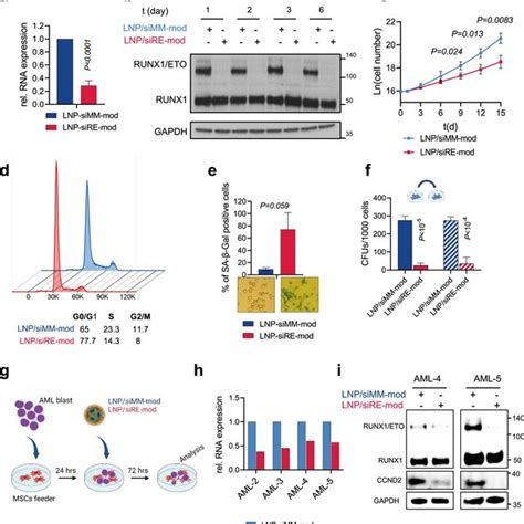 Tissue Distribution Of SiRNA LNPs A Schematic Illustration Of LNPs