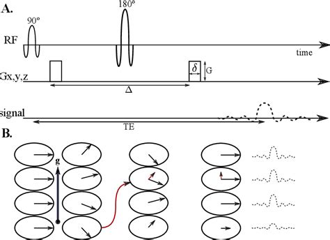 Figure 1 From Multimodal Integration Of Functional And Structural Brain Connectivity An