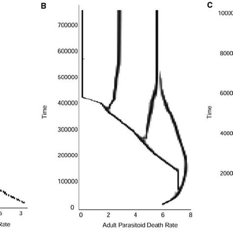 branching pattern and community assembly under a a fixed initial