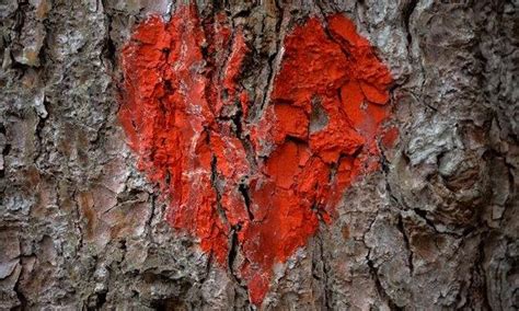 Are Acne Scars Destroying Your Confidence Palm Clinic