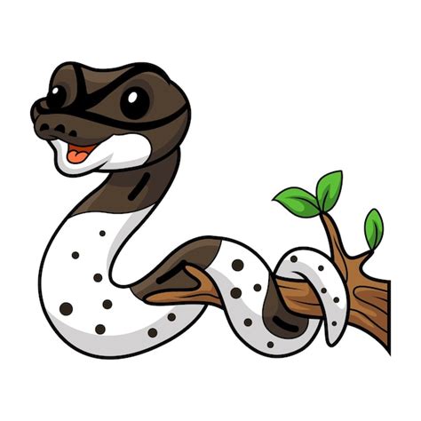 Dessin Animé Mignon Python Boule Oreo Pied Sur Une Branche Darbre Vecteur Premium