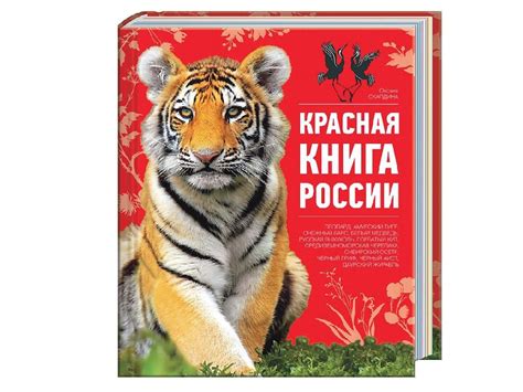 Картинки для красной книги для детей