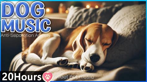20시간 강아지 수면 유도 음악🎵혼자있는 개를 위한 음악🦮💖강아지 심리안정음악🐶강아지 스트레스 해소 음악｜외출시 꼭 재생하여