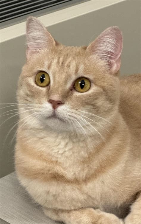 Is She Model Material Rmodelling