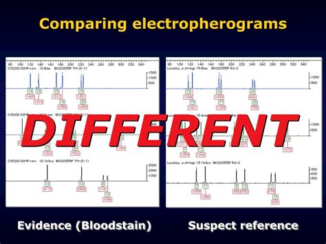 Ppt Forensic Dna Profiling Workshop Powerpoint Presentation Free