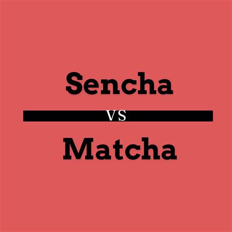 Sencha Vs Matcha What Are The Differences
