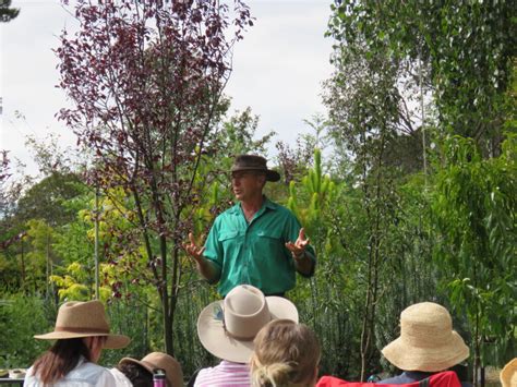 Summer Pruning Workshop Black Mountain Nursery