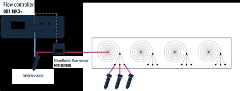 Microfluidic Particle Size Sorting Microfluidics Innovation Center
