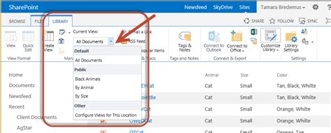 Links To Additional Views Disappear In Sharepoint 2013 When Ootb Style Is Applied Hey Tamara