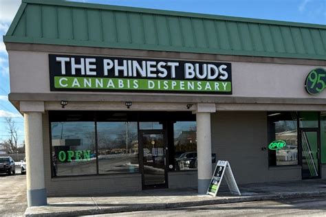 Us Ny The Long Journey To Opening A New Dispensary