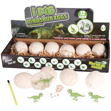 Dig Up Fossil Kit Shop