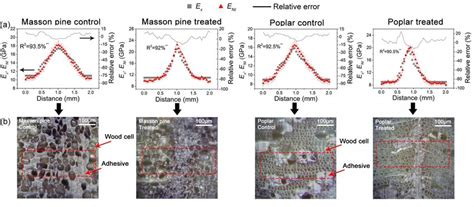 A Eni Obtained From Ni Measurement For 5 Ply Masson Pine And Poplar