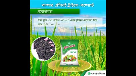 ধান গাছ ও মাটির স্বাস্থ্য রক্ষা এবং ফলন বাড়ানোর সমাধান Aci Fertilizer Agriculture Farming