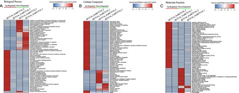 go enrichment based cluster analysis the differentially expressed