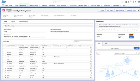 Data Cloud Ingestion Api Bulk Pattern Proof Of Concept Endpoint