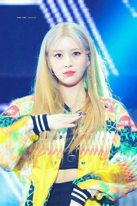 Jane Momoland Kpop 데이지 모모