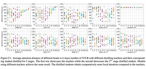 自监督榜首！字节跳动提出视觉预训练模型dbot，重新审视masked Image Modeling 智源社区
