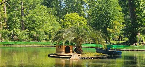 ზუგდი ზუგდიდის ბოტანიკური ბაღი Zugdidi Botanical Garden
