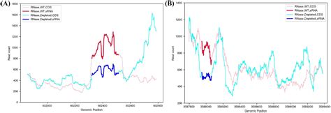 devising isolation forest based method to investigate the srnaome of