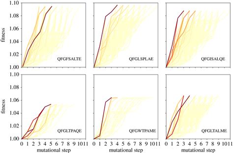 The Set Of All Monotonic Mutational Pathways From The Wild Type Download Scientific Diagram