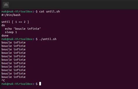 Comment Utiliser La Boucle Until En Bash Avec Des Exemples