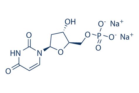 2 Deoxyuridine 5 Monophosphate Disodium Salt Thymidylate Synthase