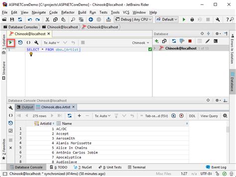Getting Started With Database Support In Rider The Net Tools Blog