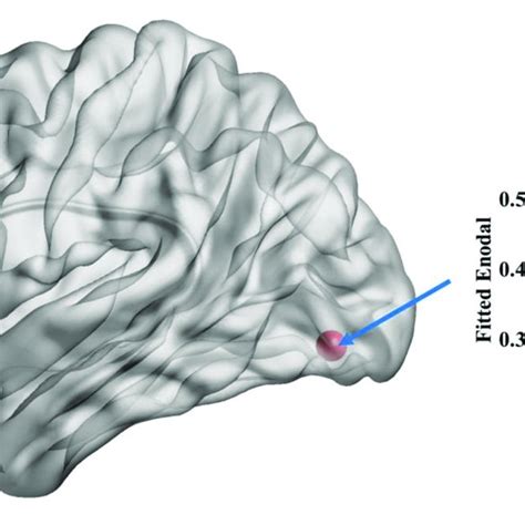 The Spatial Distribution Of Cortical Region Showing A Significant