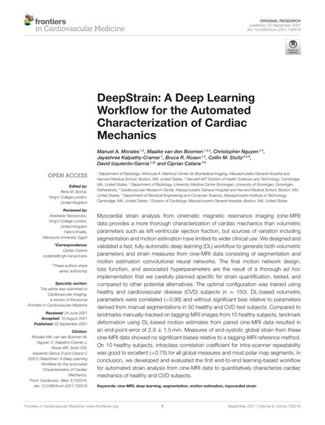 Pdf Deepstrain A Deep Learning Workflow For The Automated