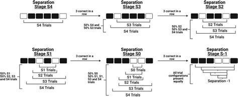 Decision Making In Mice During An Optimized Touchscreen Spatial Working Memory Task Sensitive To