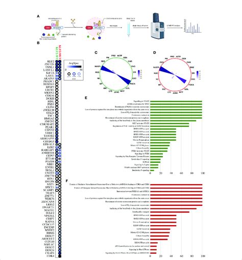 Klf2 Interactome Analysis A Schematic Workflow Overview Of The Download Scientific Diagram