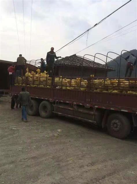 缅甸翡翠中的“蒙包料”真的是缅甸人在矿区包好的吗?你怎么看? 搜狐大视野 搜狐新闻 缅甸翡翠中的“蒙包料”真的是缅甸人在矿区包好的吗?你怎么看? 搜狐大视野 搜狐新闻