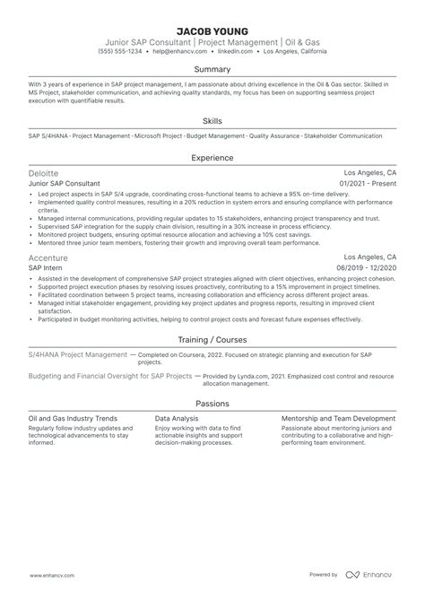 6 Successful Sap Resume Examples And Writing Tips For 2024