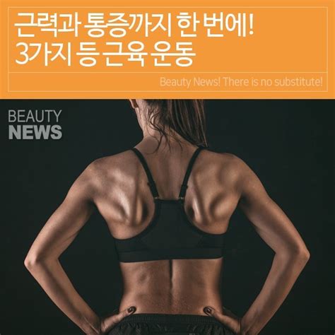 근력과 통증까지 한 번에 등 근육 운동 상체에서 가장 많은 근육이 존재하는 등의 근육은 기본적인 신체의 움직임을 담당하는 매우 중요한 여자가 예뻐지는 이야기