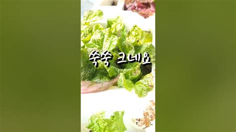 촌놈일기 벌써 이만큼 자랐어요 월동상추 Youtube