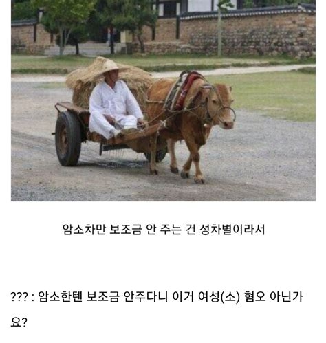 정부의 수소차 보조금 당장 폐지해야 하는 이유 유머움짤이슈 에펨코리아 정부의 수소차 보조금 당장 폐지해야 하는 이유 유머움짤이슈 에펨코리아