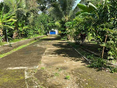 Marinduque Farm Land For Sale Realsph