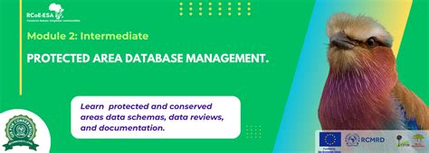 undoing calculated field and calculation fields of a single record rcoe community