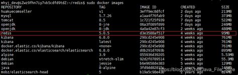 Docker安装redis并配置外网可访问和密码alpine Redis外部访问 Csdn博客