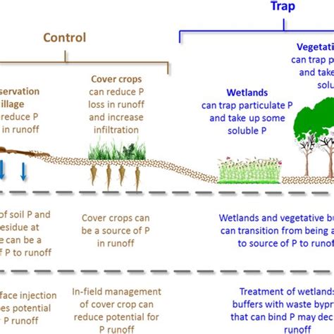 Schematic Examples Of Benefits Trade‐offs And Mitigation Strategies
