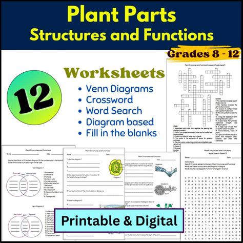 Plant Structures And Functions Activities And Worksheets By Scholarly Biology