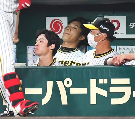 【阪神】藤浪晋太郎6回1失点も自らの失策絡み失点「バント処理などミス無くしていく必要ある」 プロ野球写真ニュース 日刊スポーツ