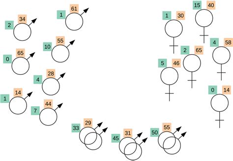Example Of Nodes Labeled On The Left Are The Heterosexual Men On The Download Scientific