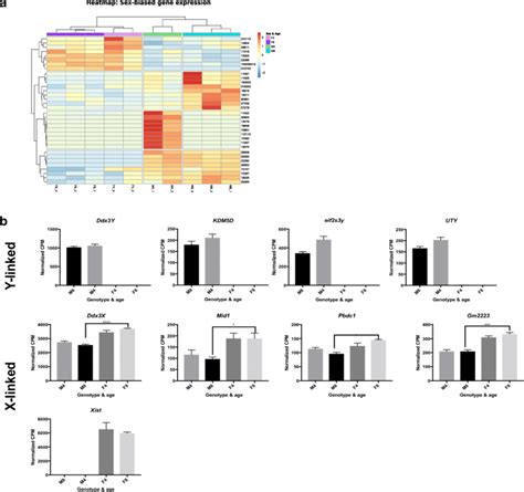 Sex Specific Changes To Gene Expression Several Genes Showed Download Scientific Diagram