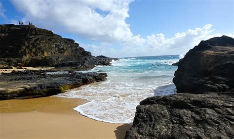 하와이 오아후 섬 하이라이트 단독 투어