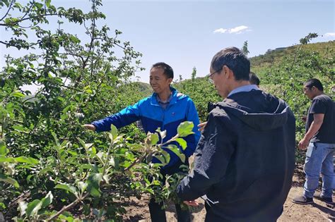 农技专家深入田间 传授果树栽培技术