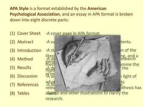 ENGLISH W The Basics Ppt Download